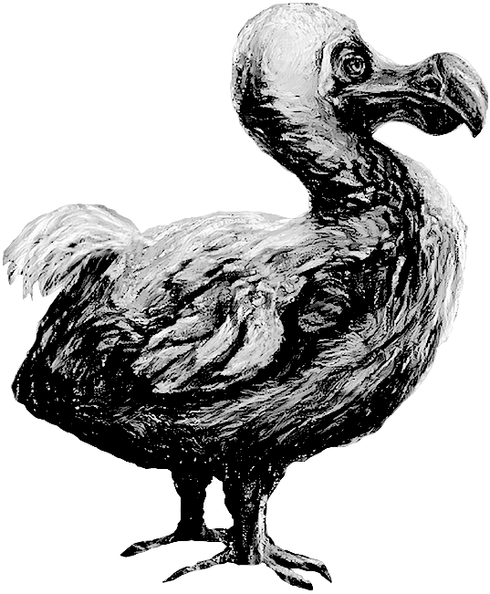 The Last Dodo | HeyMint